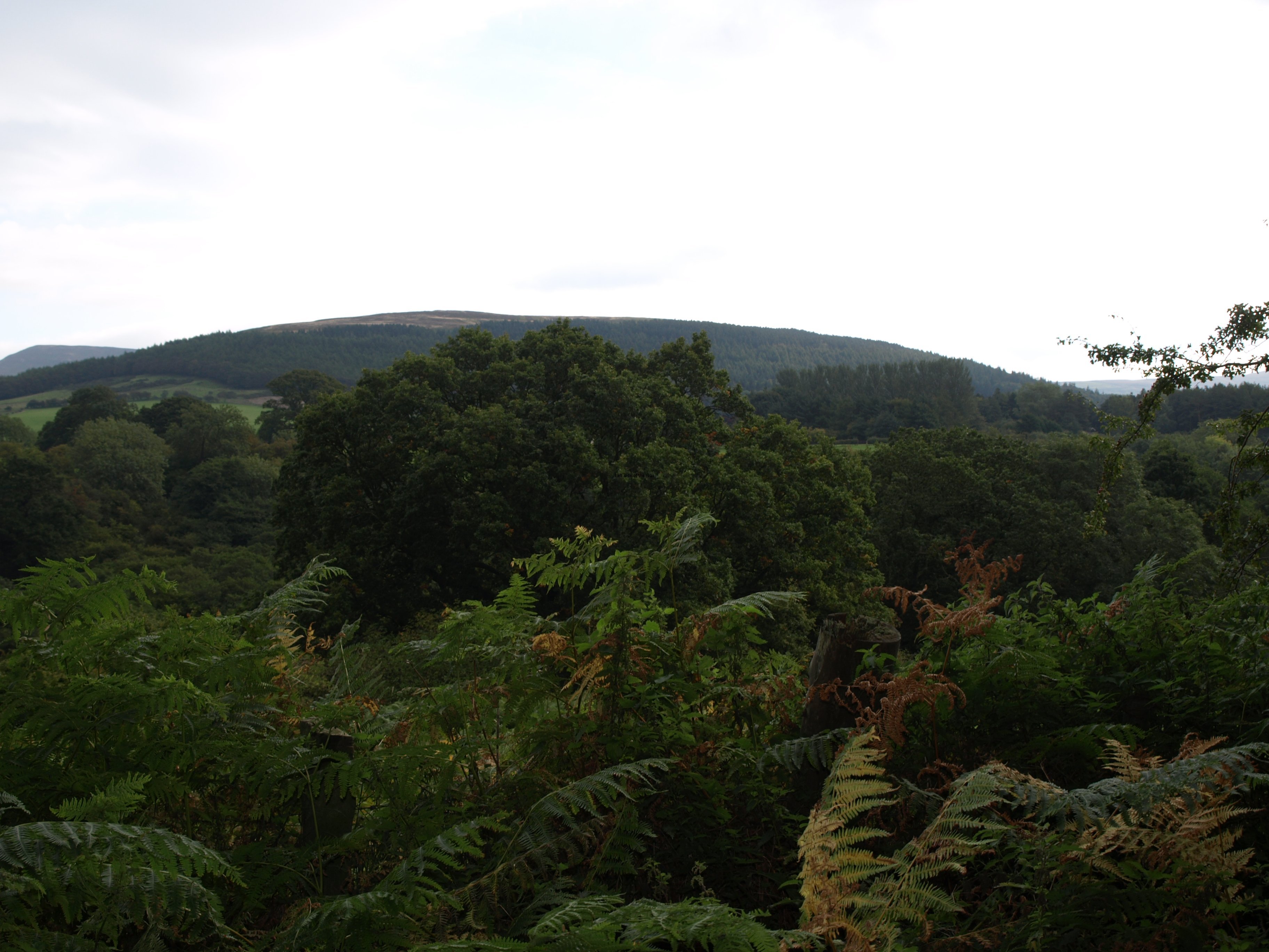 clay bank top Archives - Left side of the roadLeft side of the road