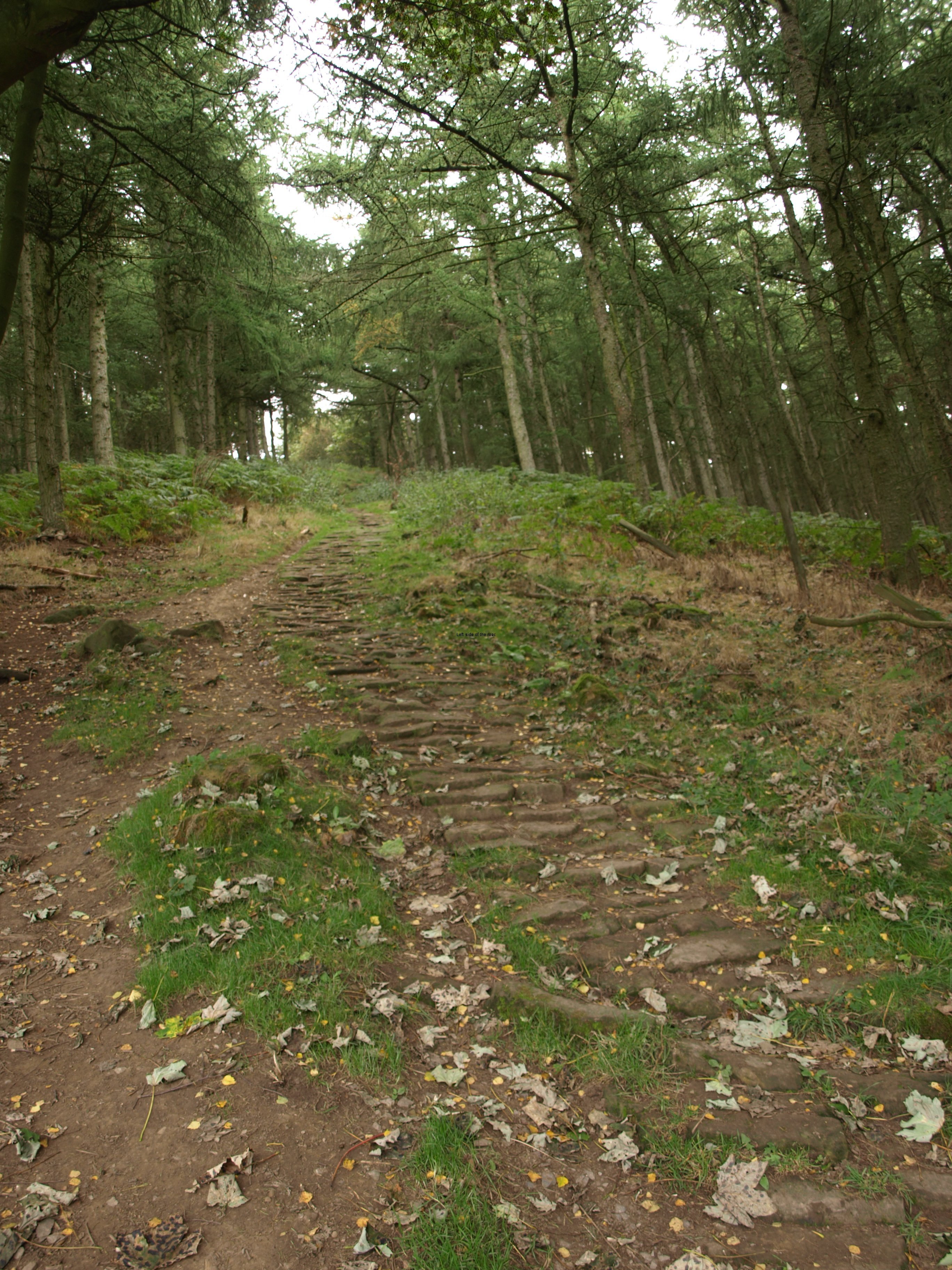 clay bank top Archives - Left side of the roadLeft side of the road